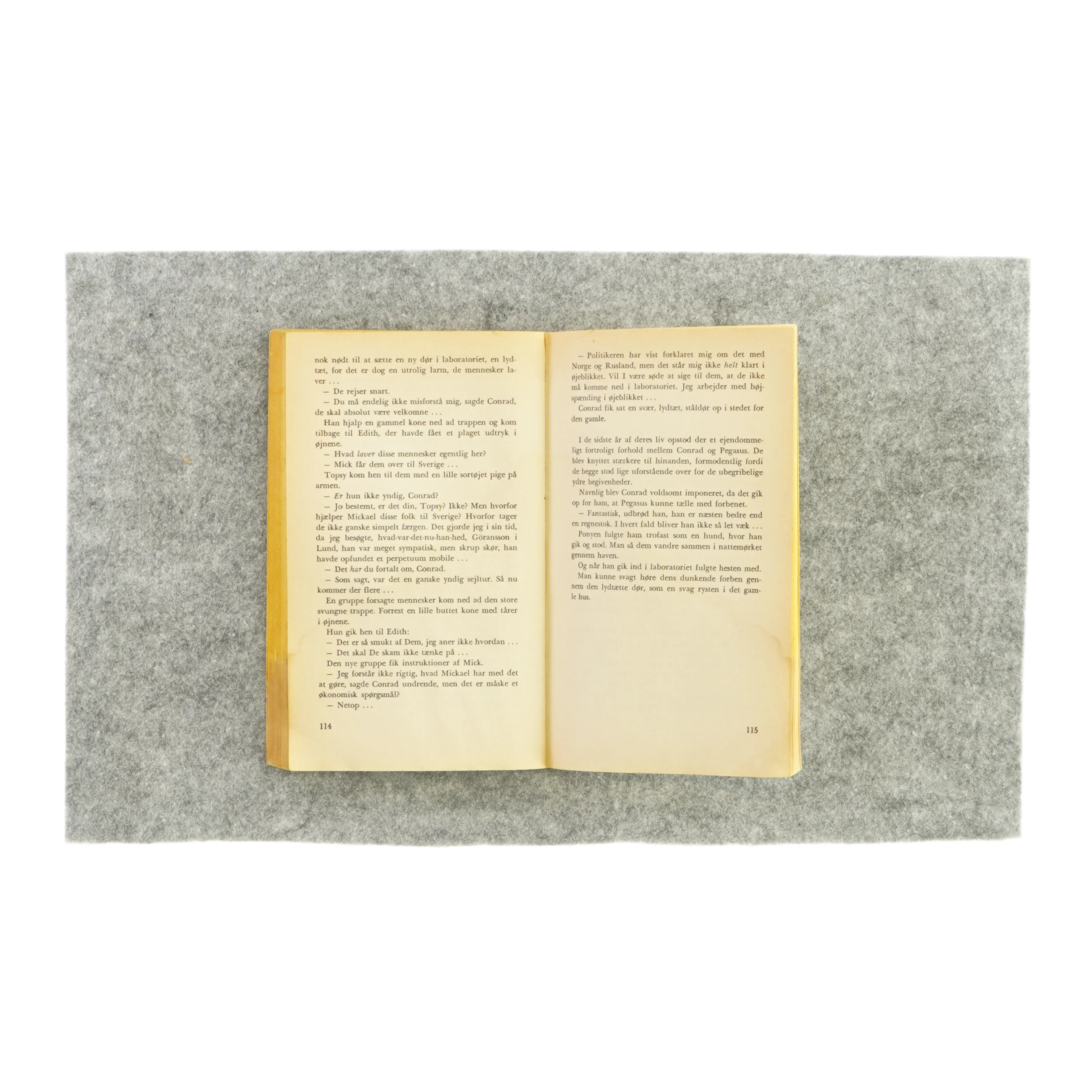 De uanstændige af Leif Panduro (Bog) | Orderly.shop